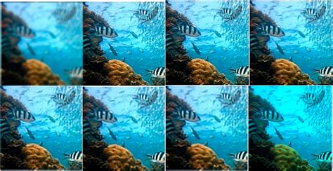 A D First Row E H Second Row Visual Quality Comparison Of Seer Download Scientific