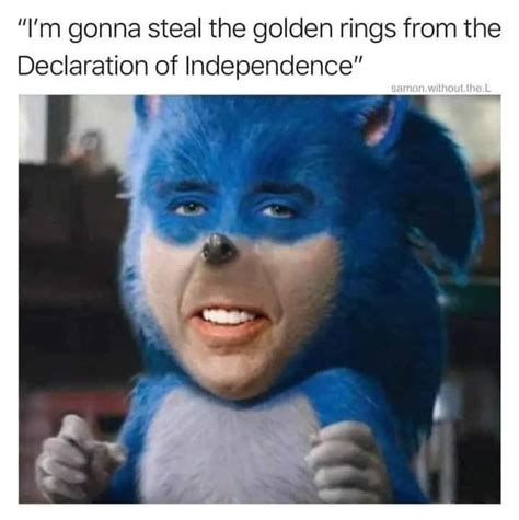 Sonic Cage R Funny