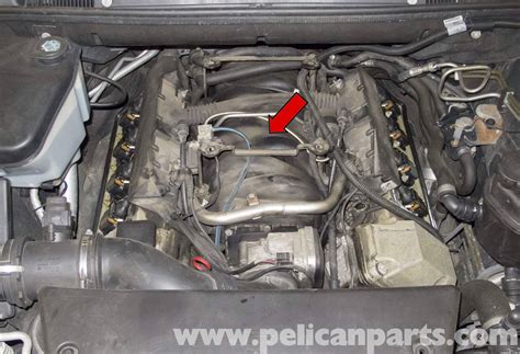Bmw X5 Engine Management Systems E53 2000 2006 Pelican Parts Diy Maintenance Article