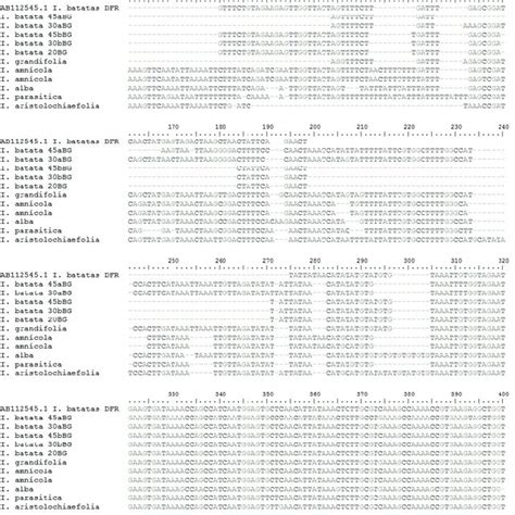 Sequence Alignment Of Different Genomic Sequences Amplifi Ed With