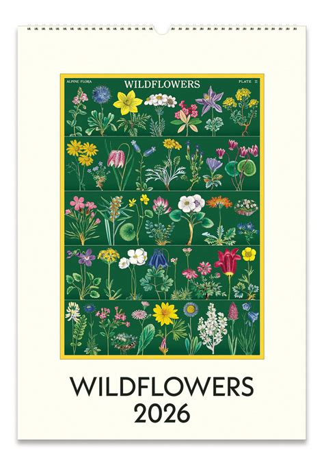 2026 Cavallini Wildflowers Wall Calendar Paper Source