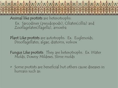 6 Kingdoms Of Life Sol Bio 5 A F Ppt Download