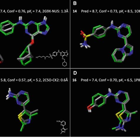 The Structure Guided Modeling Procedure Produced Accurate Pose And Download Scientific Diagram