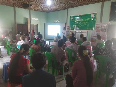 ငါ့သရောက်မြို့၌ စပါး၊ ပဲမျိုးစုံ၊ ဆီထွက်သီးနှံများ၏ Gapစိုက်ပျိုးနည
