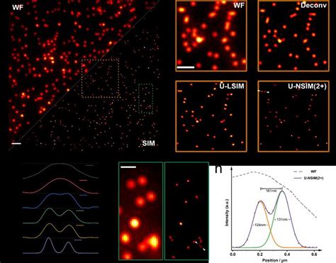 Super Resolution Imaging Reconstructions Of Single Upconversion Download Scientific Diagram