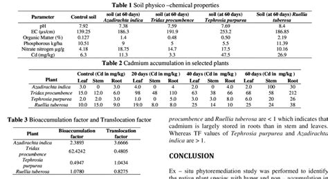 Chlorophyll Content In Plants Download Scientific Diagram