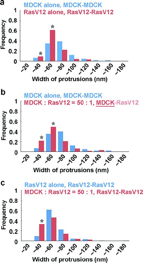Width Distribution Of The Finger Like Membrane Protrusions After
