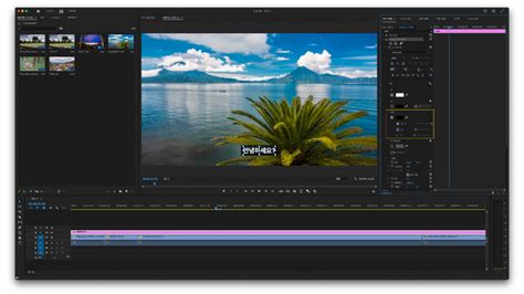 유튜브 영상에 자막 넣기 어도비adobe