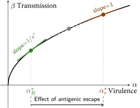 Graphical Representation Of The Predicted Es Virulence With Or Without