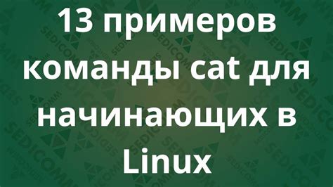 15 примеров команд Ls в Linux