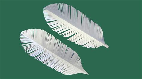 Bordes De Plumas De Nativos Americanos