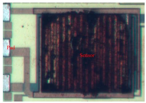 Ethanol Microsensors With A Readout Circuit Manufactured Using The Cmos Mems Technique