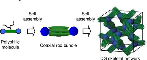 Figure 1 From A Self Assembled Bicontinuous Cubic Phase With Single Diamond Network Semantic