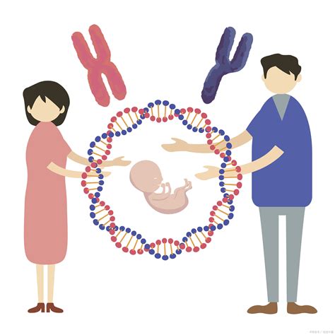 Brothers Are More Genetically Similar So Why Is The Father Son