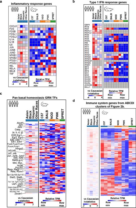transcriptome based comparative analysis identified expression