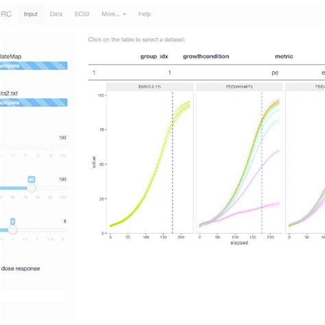 screenshot of the shiny web application that allows non r users to run