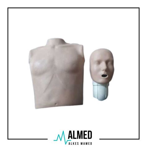 Jual Manikin Prestan Cprphantom Cprprestan Cprmanikin Rjpphantom