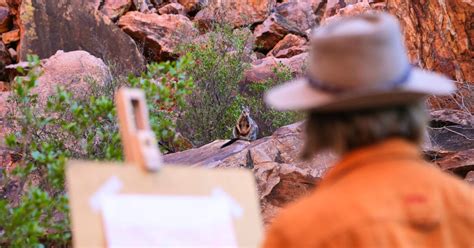 Simpsons Gap Sunset Watercolour Painting Class Alice Springs Tour By