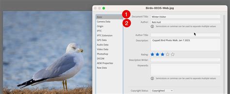 Adding Name And Title To Your Image Heard Nature Photographers