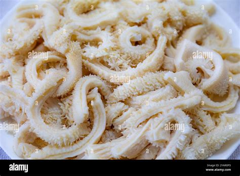 Beef Tripe Bucho Beef Stomach Tripe On A White Plate Dobradinha