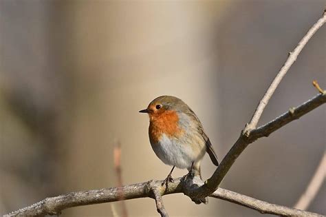 시간 관리 하루 일정을 미리 계획하고 우선순위를 정해 중요한 일을 먼저 처리하는 습관을 들입니다 시간 관리 하루 일정을 미리 계획하고 우선순위를 정해 중요한 일을 먼저 처리하는 습관을 들입니다