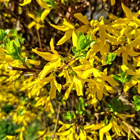 Nikola Eftimov Денес се збогувавме со Фросина 💔 Во мојата досегашна предавачка кариера