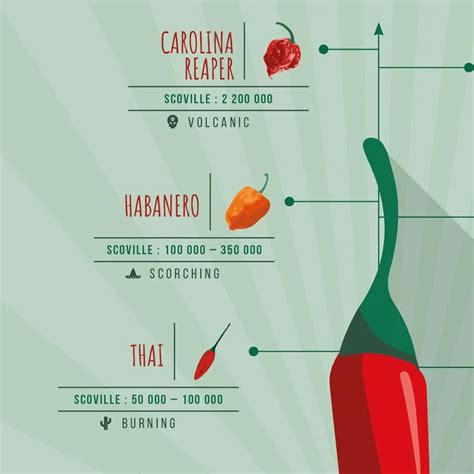 Hot Pepper Chart Poster The Hottest One Hot Pepper Poster By
