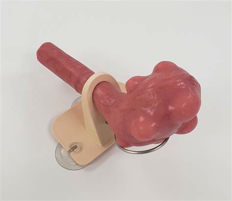 Uterine Myomectomy Trainer Sini Medical Simulation