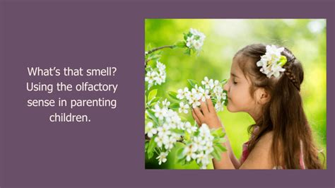 Whats That Smell Olfactory Sensory