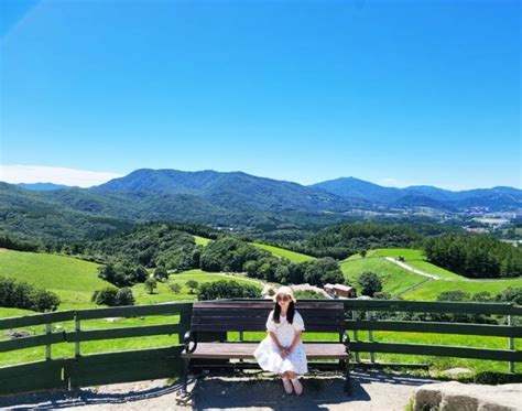 평창 대관령양떼목장 9월 10월 여행지 인생샷 뚜벅이여행 횡계버스 네이버 블로그