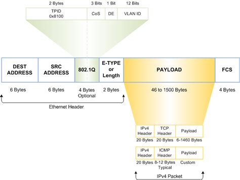 Ip Networking Material Ethernet Frame