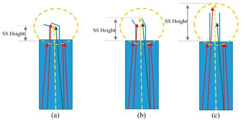 Grain Growth Direction In Selector Part With Different Take Off Angles Download Scientific
