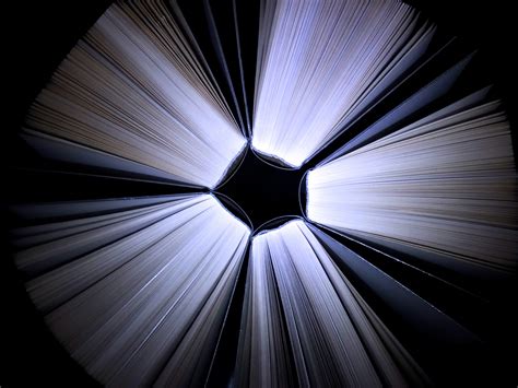 무료 이미지 비행 검정색과 흰색 햇빛 선 반사 색깔 검은 단색화 원 교육 문학 서적 대칭 독서광 경계 모양 덮개 스크린 샷 빛과 어둠