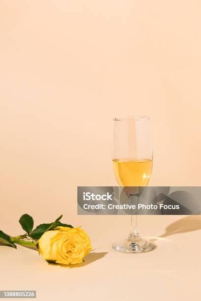 베이지 색 배경에 와인 글래스와 노란색 장미 꽃이있는 빈티지 스타일 컨셉 봄 최소 개념 공간을 복사합니다 노랑에 대한 스톡 사진