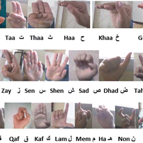 Architecture Of Arabic Sign Language Recognition Using Cnn Download
