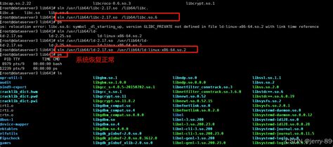Linux升级lib64中的libcso6导致所有命令失效 技术栈