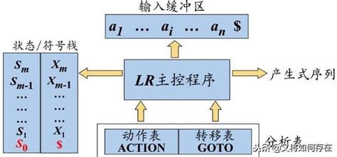 編譯原理之lr分析概述 每日頭條