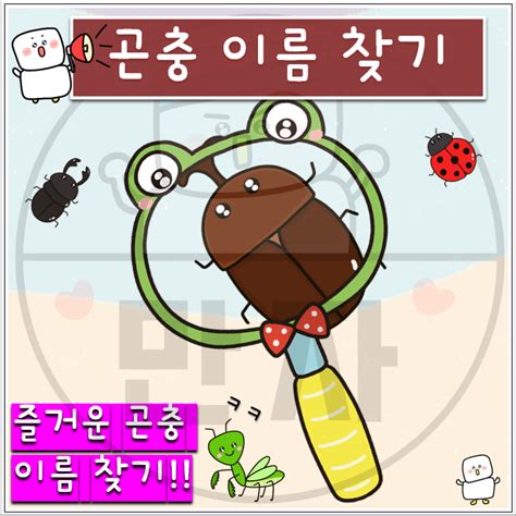 [교구] 곤충 이름 찾기 만자디자인