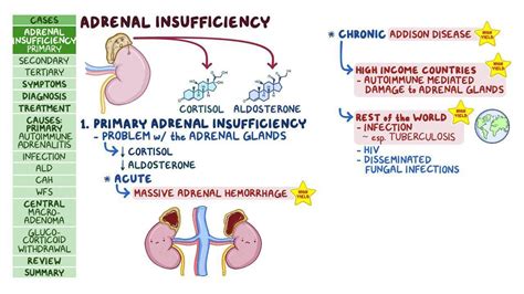 Adrenal Insufficiency Diagram Corticosteroid Insufficiency In Acutely