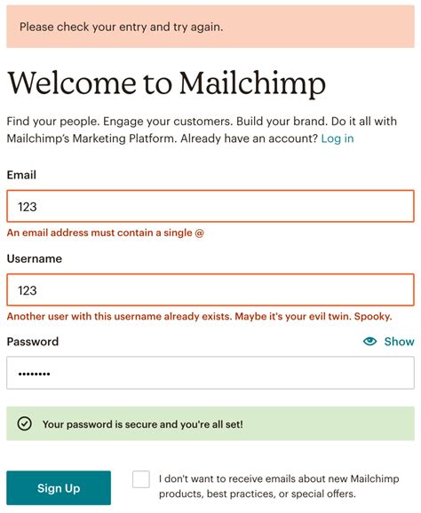 Mailchimp Online Form Error Message Smiley Cat