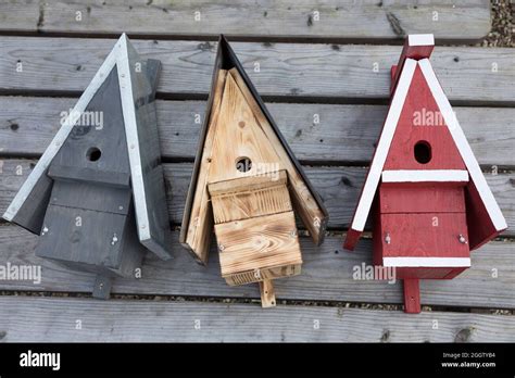 Selfmade Wooden Tit Box Finished Nesting Boxes Series Picture Stock Photo Alamy
