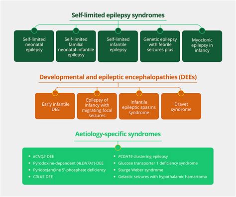 Classifying Neonatal And Infant Epilepsy Syndromes Epilepsy Resources For Healthcare
