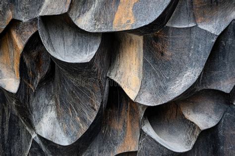 Layered Abstract Texture With Organic Pattern And Modern Design Stock