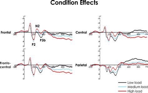 Grand Averaged Erp Waveforms Collapsing Across Language To Show The
