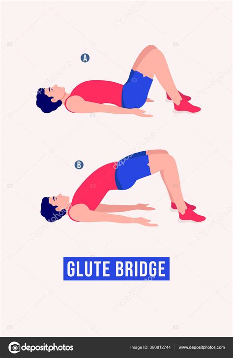 Bridging Exercise Progression Bridging Exercise Progression
