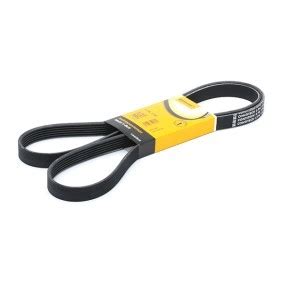 6pk1750 Contitech V Ribbed Belt Autodoc