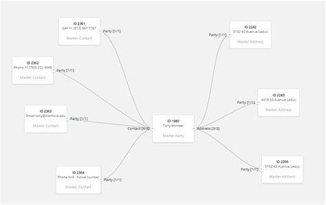 Browsing Master Record Hierarchies Ataccama One