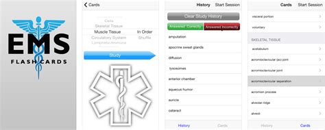 Anatomy And Physiology EMS Flashcards