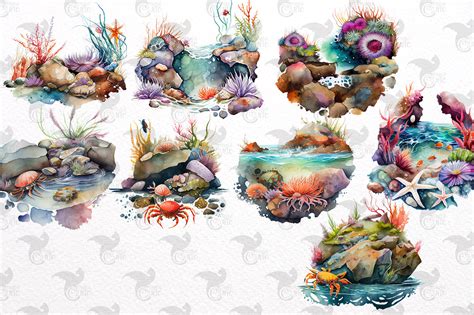 Watercolor Tidepool Clipart Ocean Seascape Scene Png Format Instant