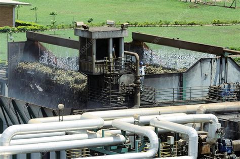 Biofuel Production Brazil Stock Image C0105661 Science Photo